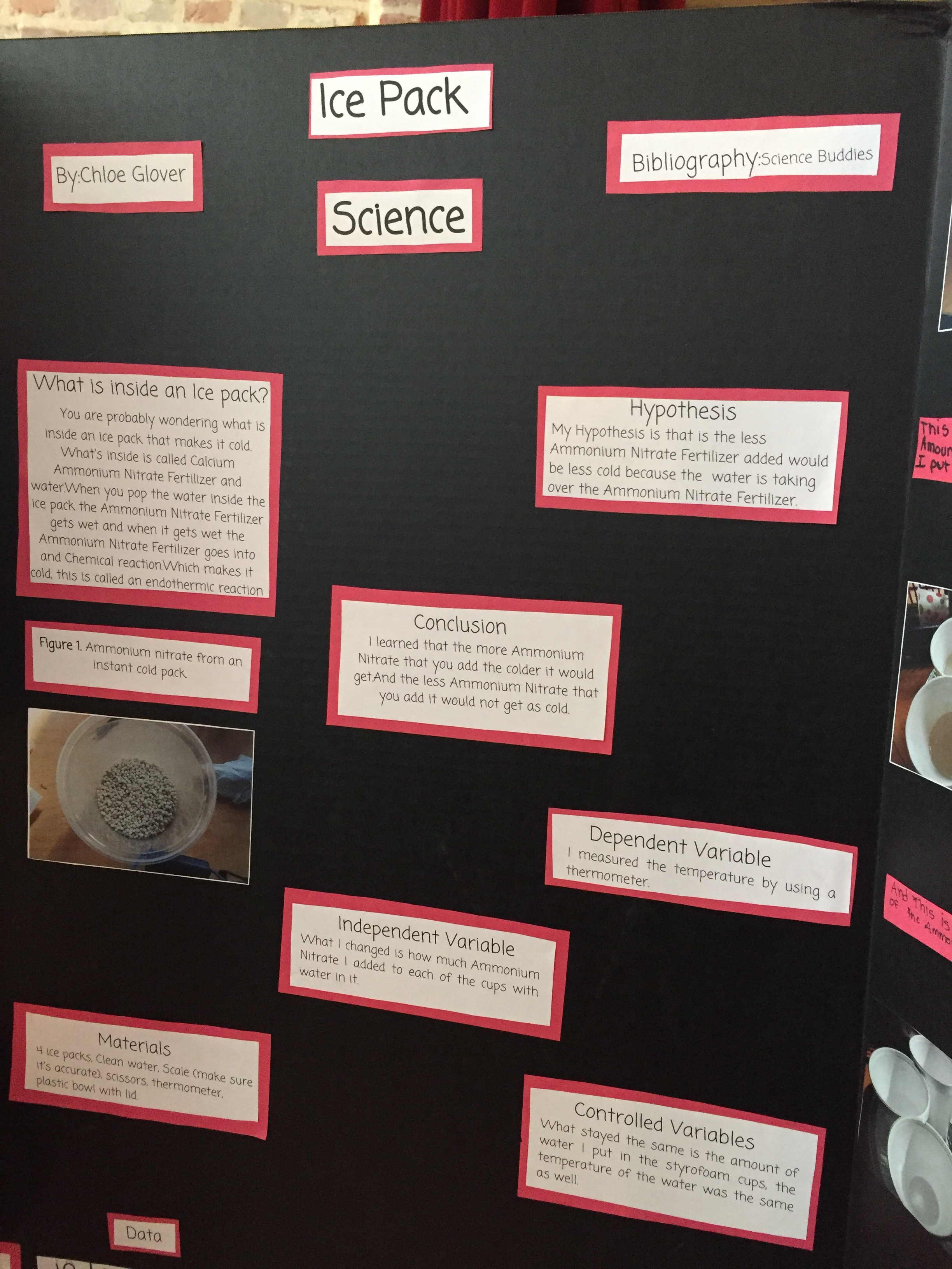 March STEAM Madness Continues: 2017 STEM Fair! – Immersed