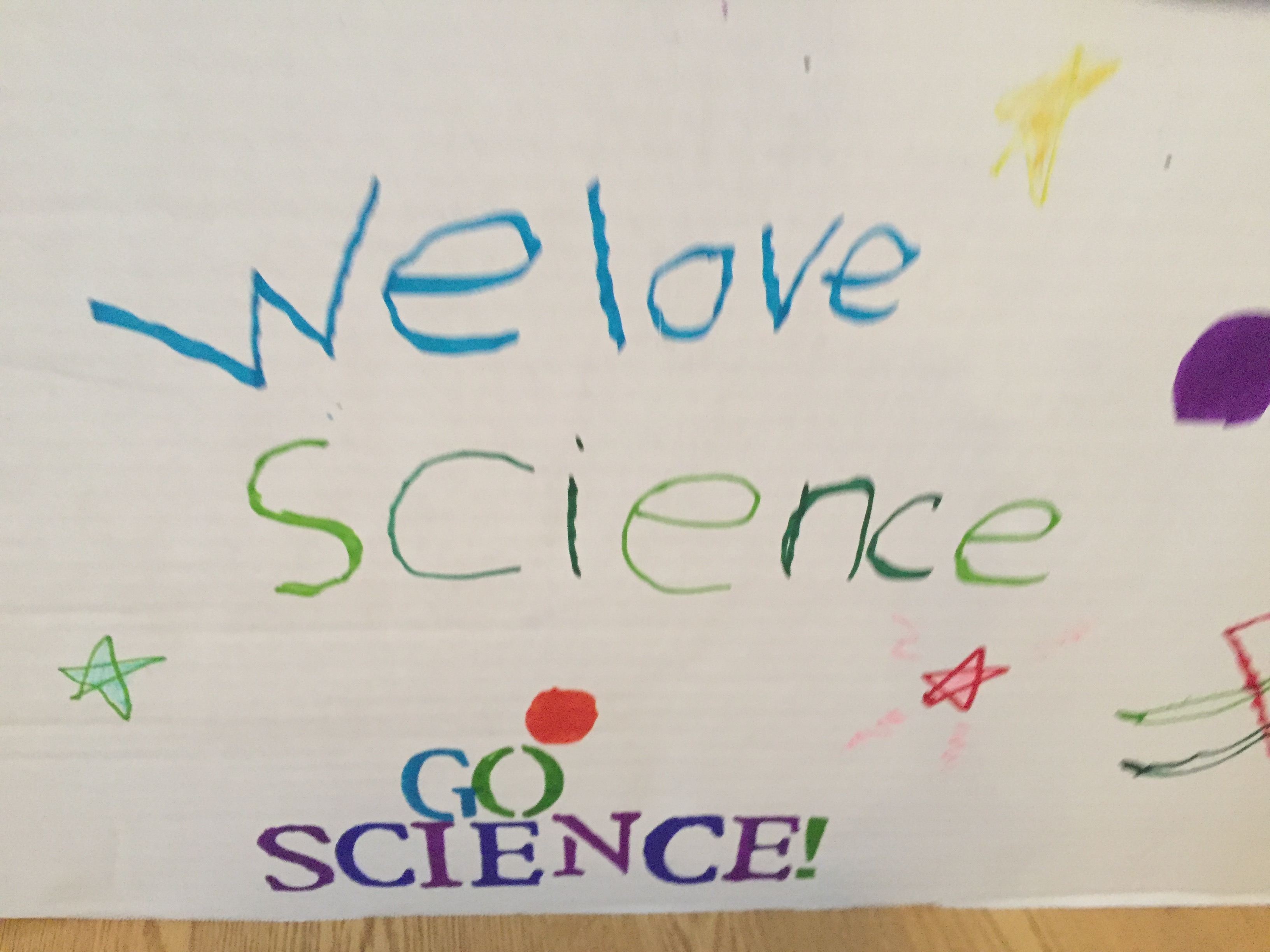 TNCS March Madness: Science Fair 2019! – Immersed